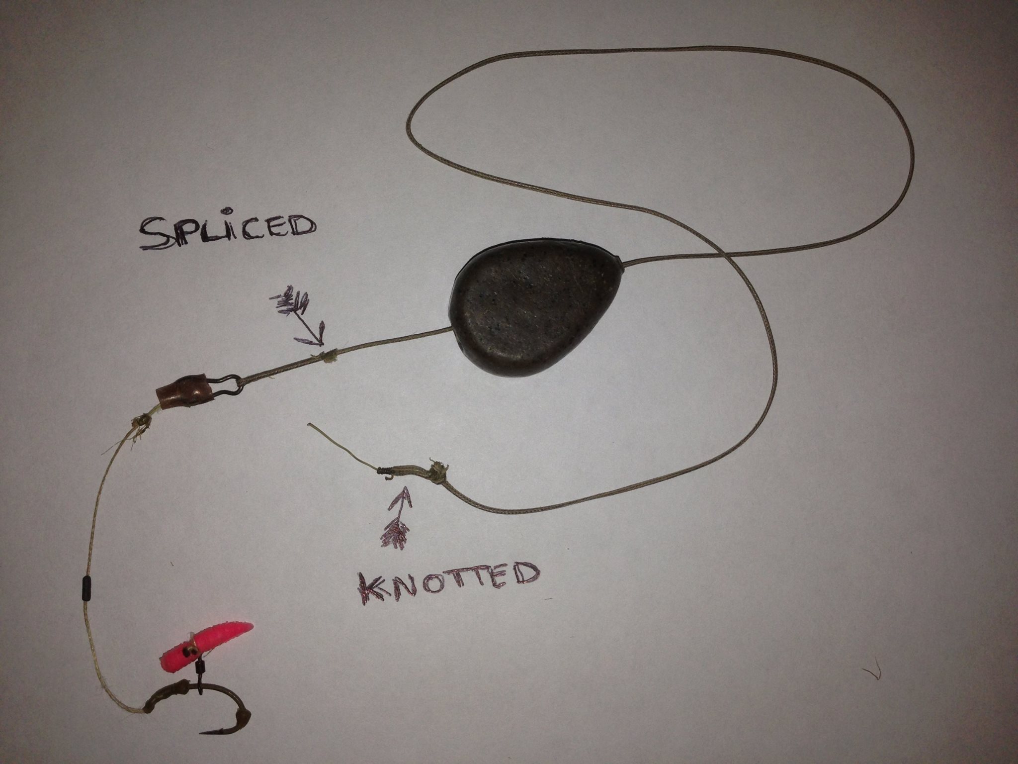 A Bailiffs point of view Q&A With Steve Bugg – Bite Edge